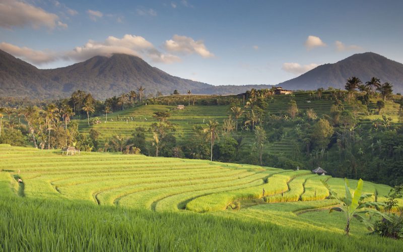 Tabanan - voyage, circuits, visites et guide | Indonesia Roads