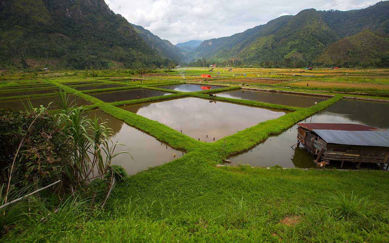 La vallée d'Harau - voyage, guide, séjour en Indonésie | Indonesia Roads